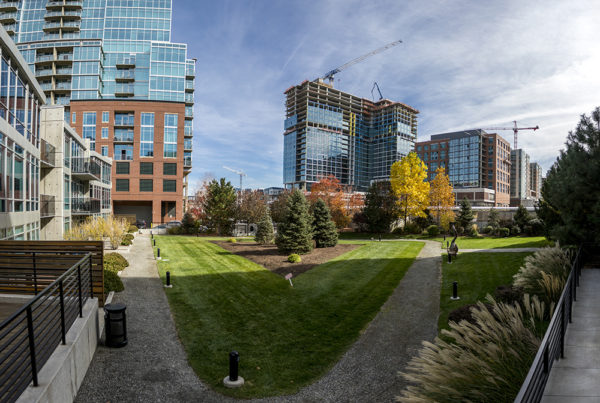 Denver's green roof law -- now the green building ordinance -- has ...