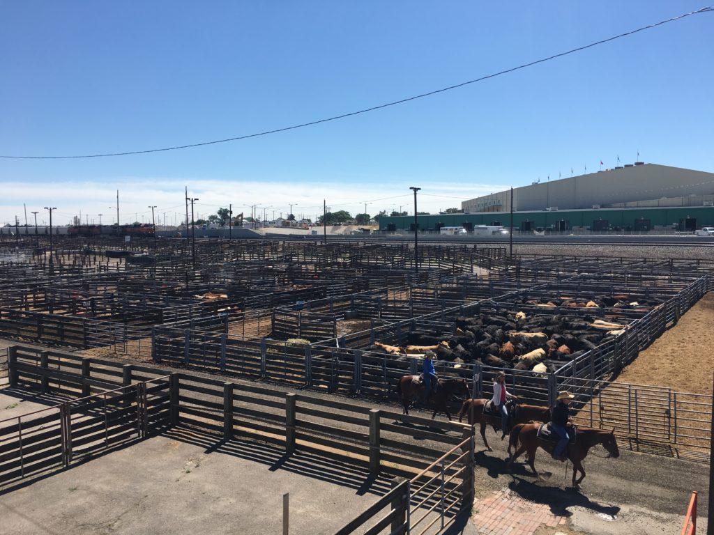 Denver's moving some of its history as National Western development begins