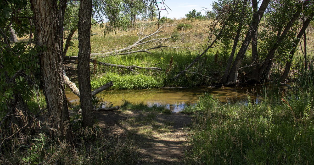 Parks and Rec is taking charge of more land near DIA, the largest open ...