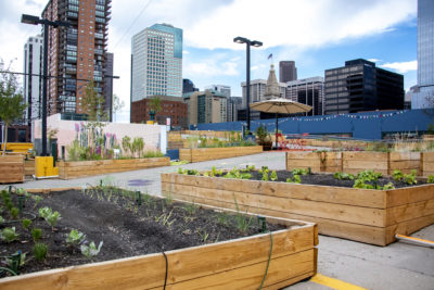 Denver spent a lot of time figuring out the rules for green roofs, and ...