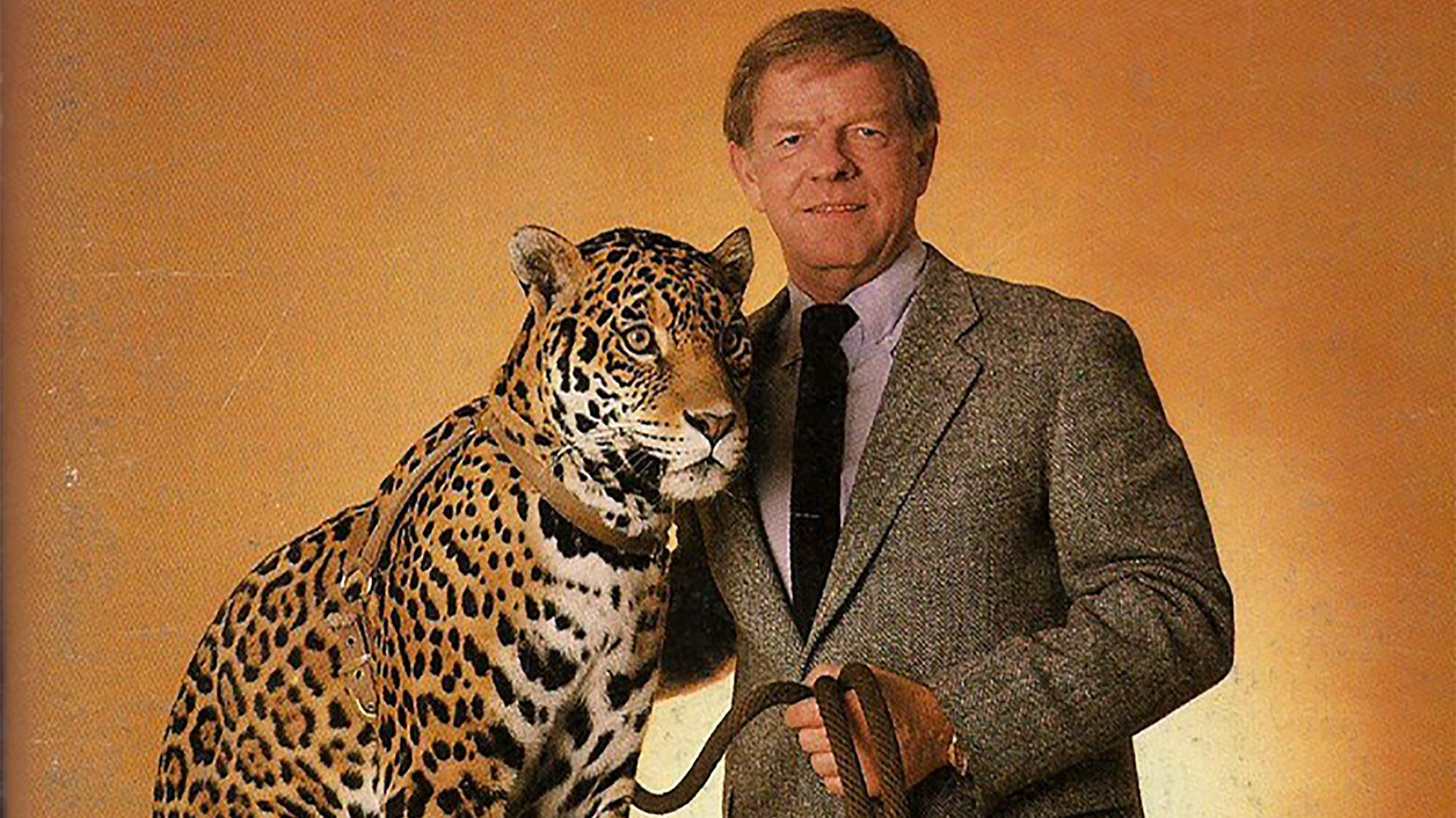 A 1980s leopard, 1970s fringe and a poor business decision by Donald ...