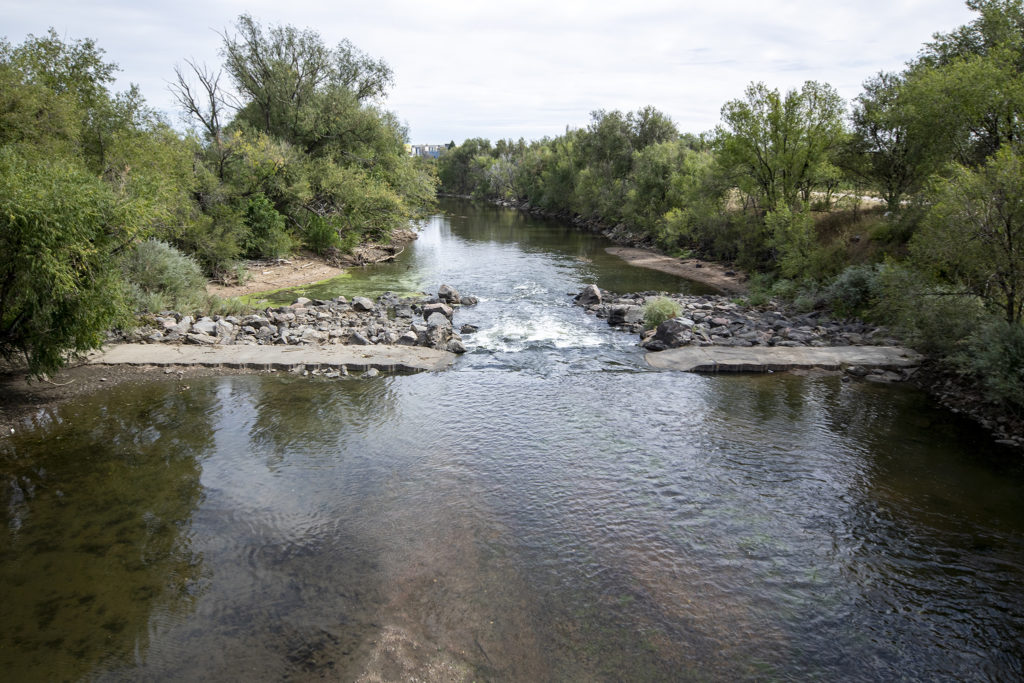 Native critters and vegetation don't like how the South Platte River ...