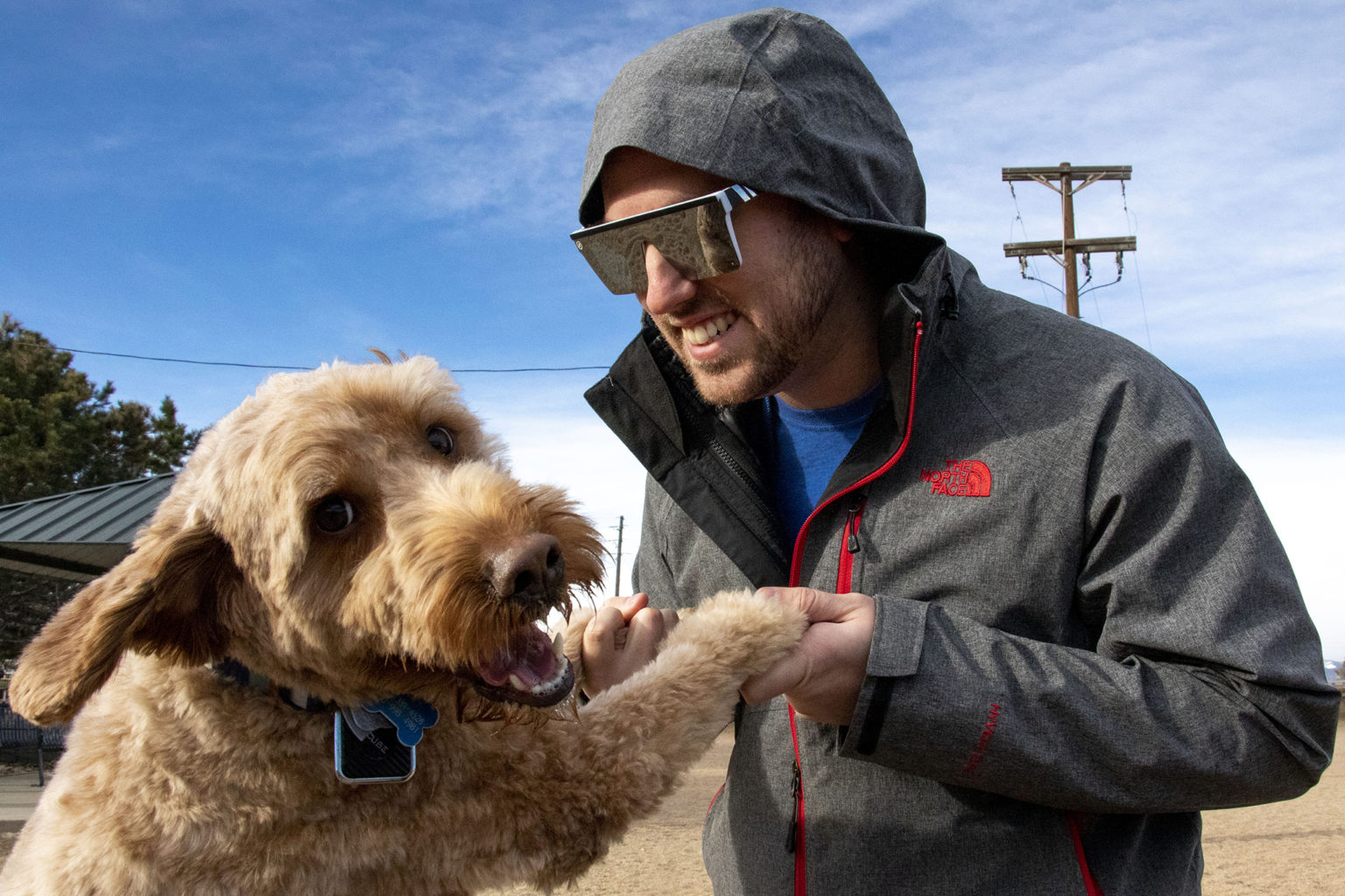 Denver has more dogs than children, and everything else we learned ...