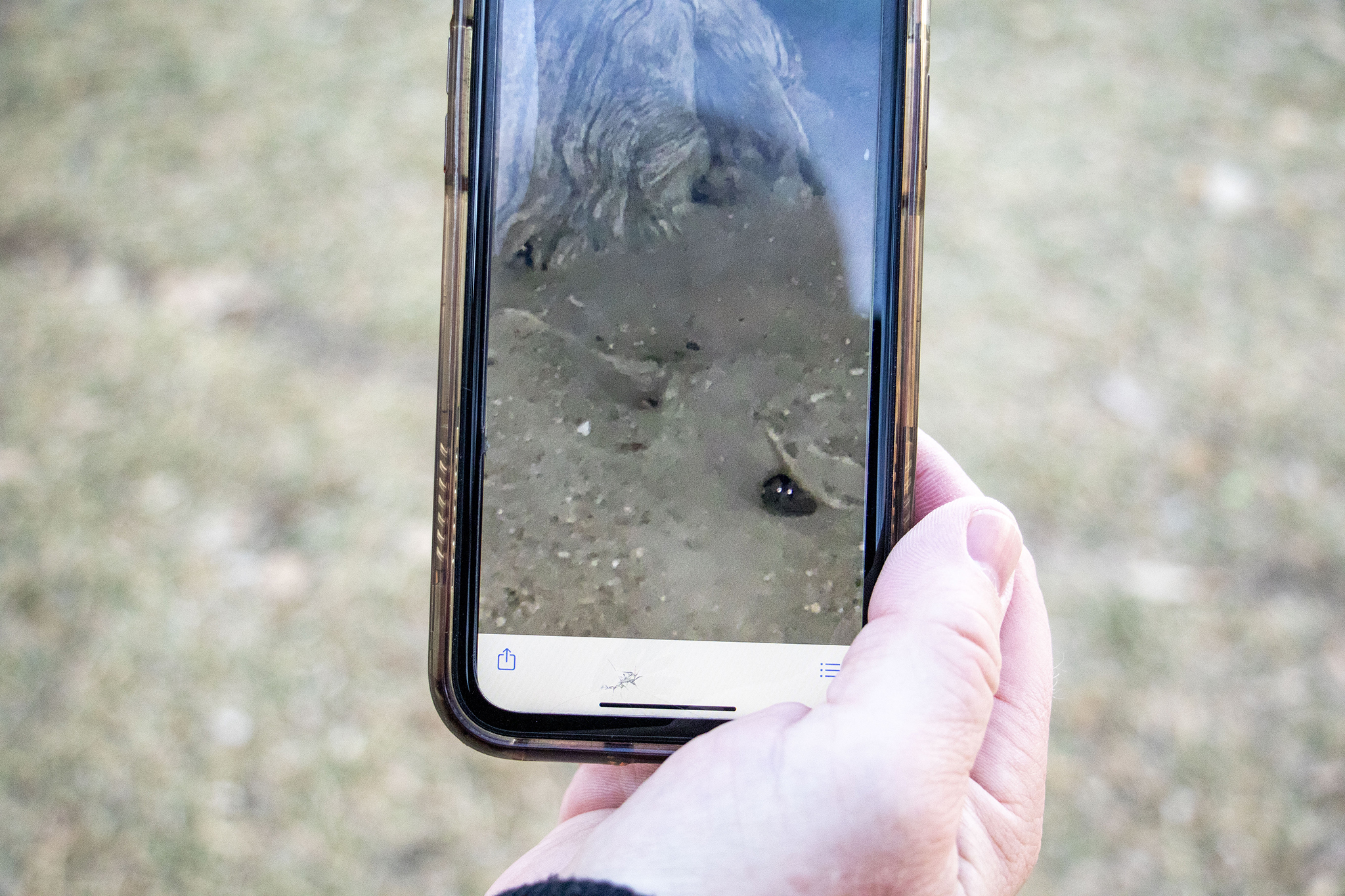 State park closed because of rats is open again - Denverite, the Denver ...