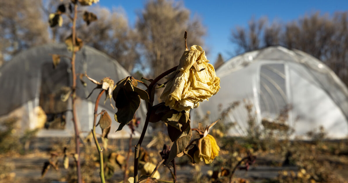 How Denver death doulas and modern undertakers are using water ...