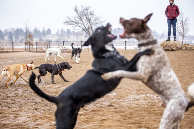 Where in Denver can you swim, fish and kayak? - Denverite, the Denver site!