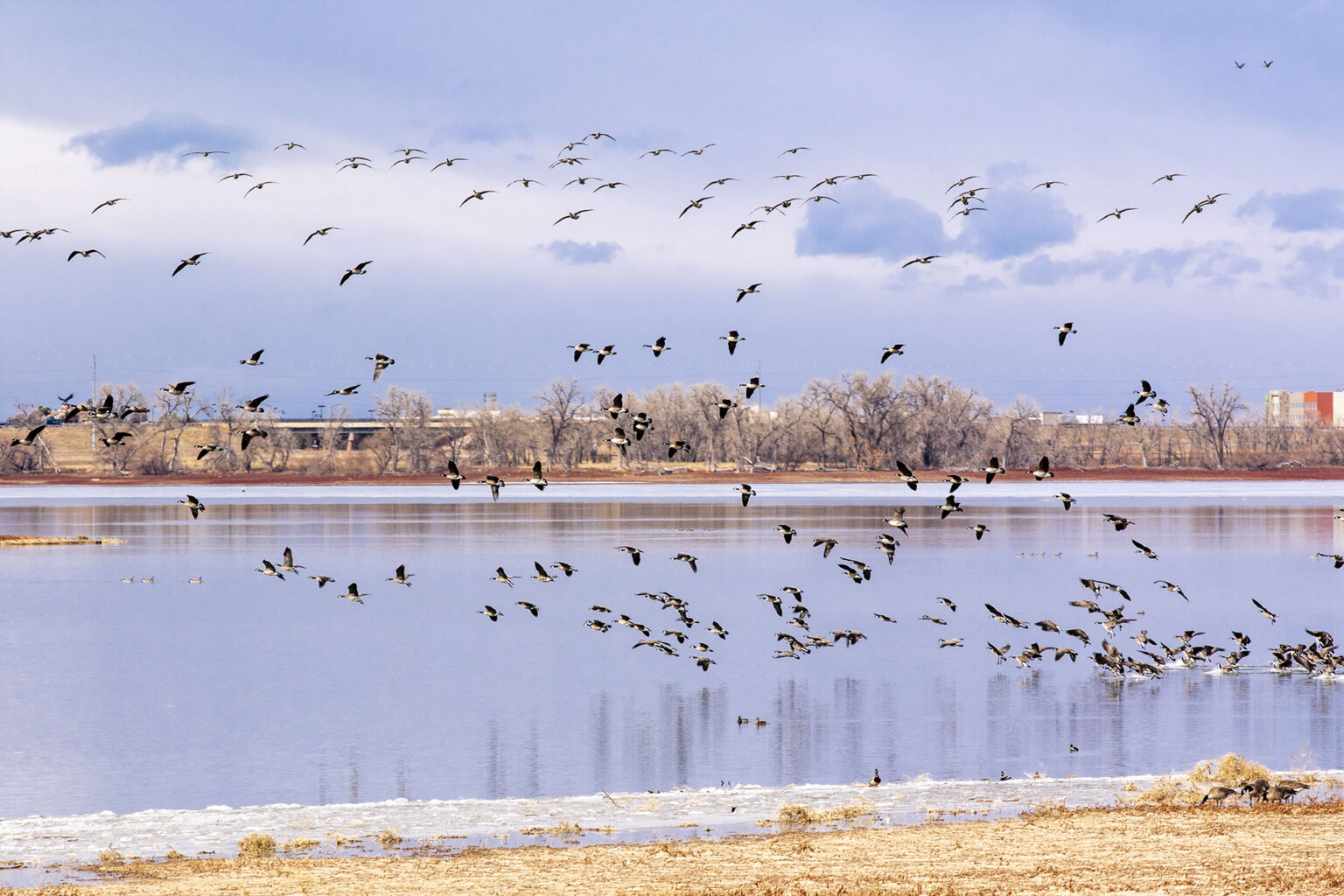 Barr Lake Eagle Fest: Come for the birds, leave with a Leave No Trace ...