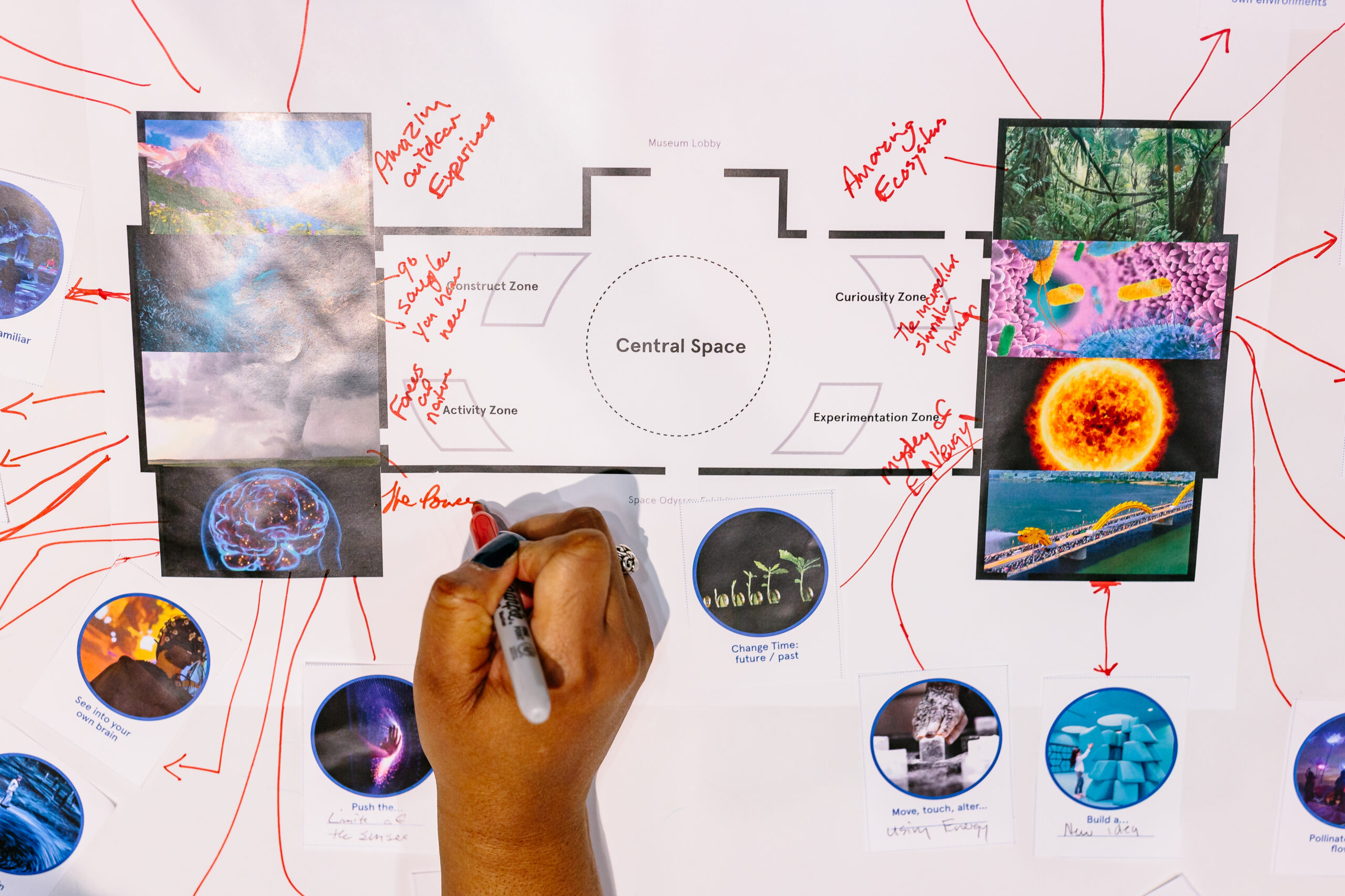 Denver Museum of Nature and Science invites community members to help ...