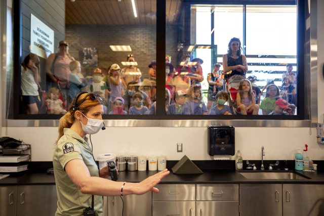 Inside the Denver Zoo's new animal hospital - Denverite, the Denver site!