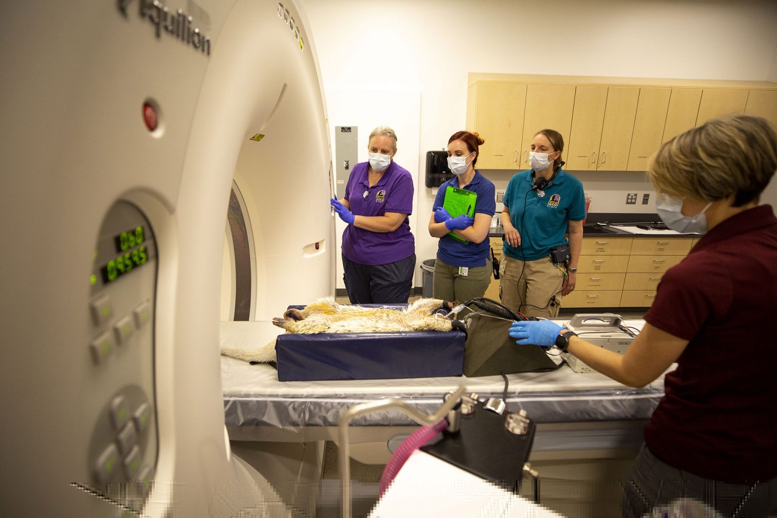 Inside the Denver Zoo's new animal hospital - Denverite, the Denver site!