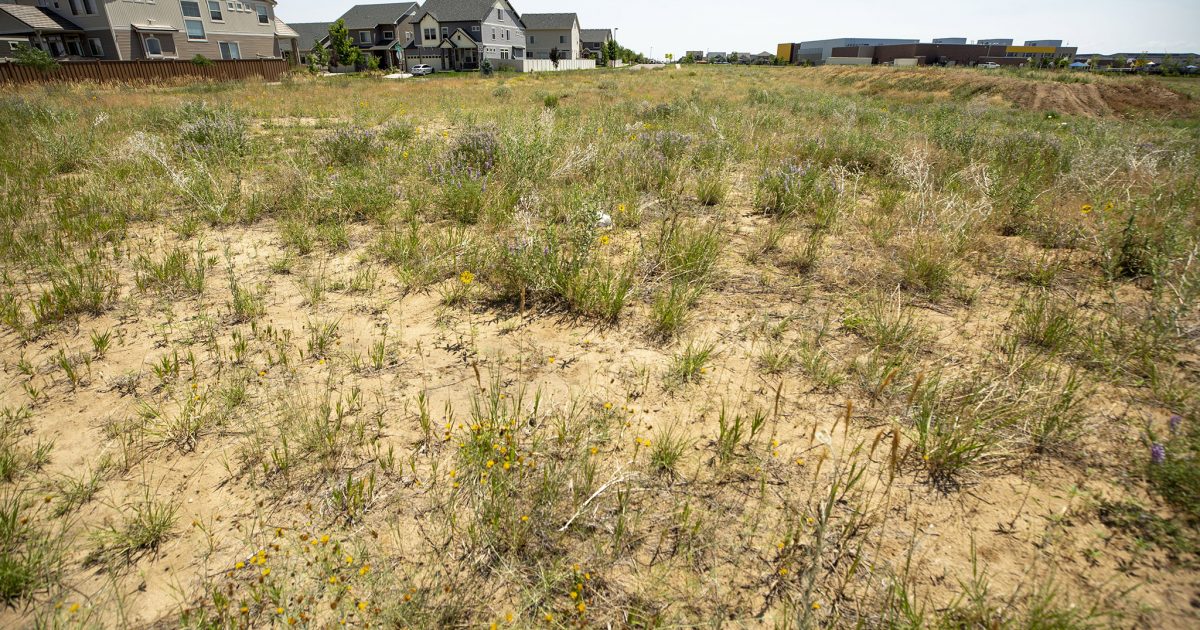 Denver's population boom has us building homes in fire-prone areas. Now ...