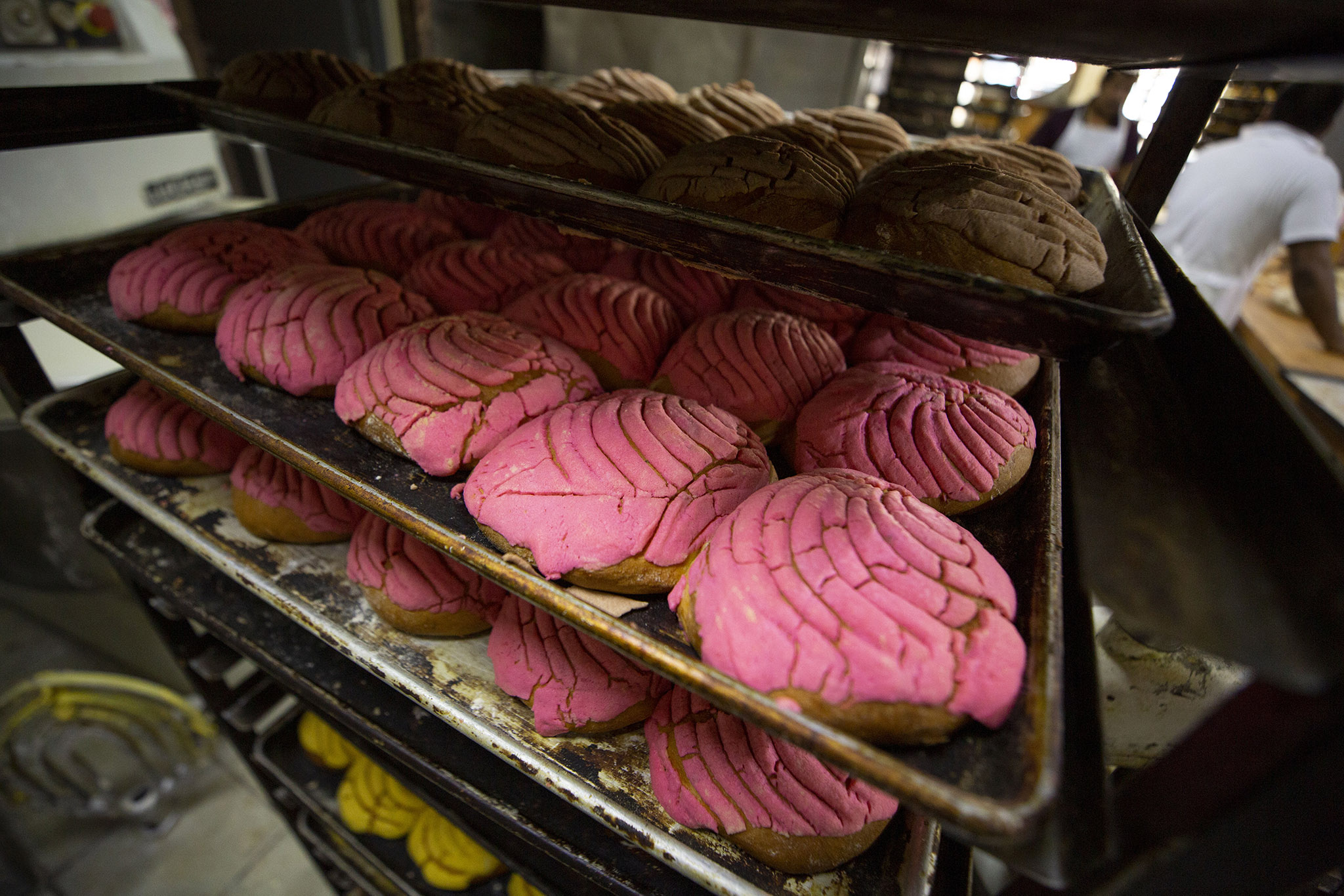 Looking to support small businesses on the westside? The West Denver ...