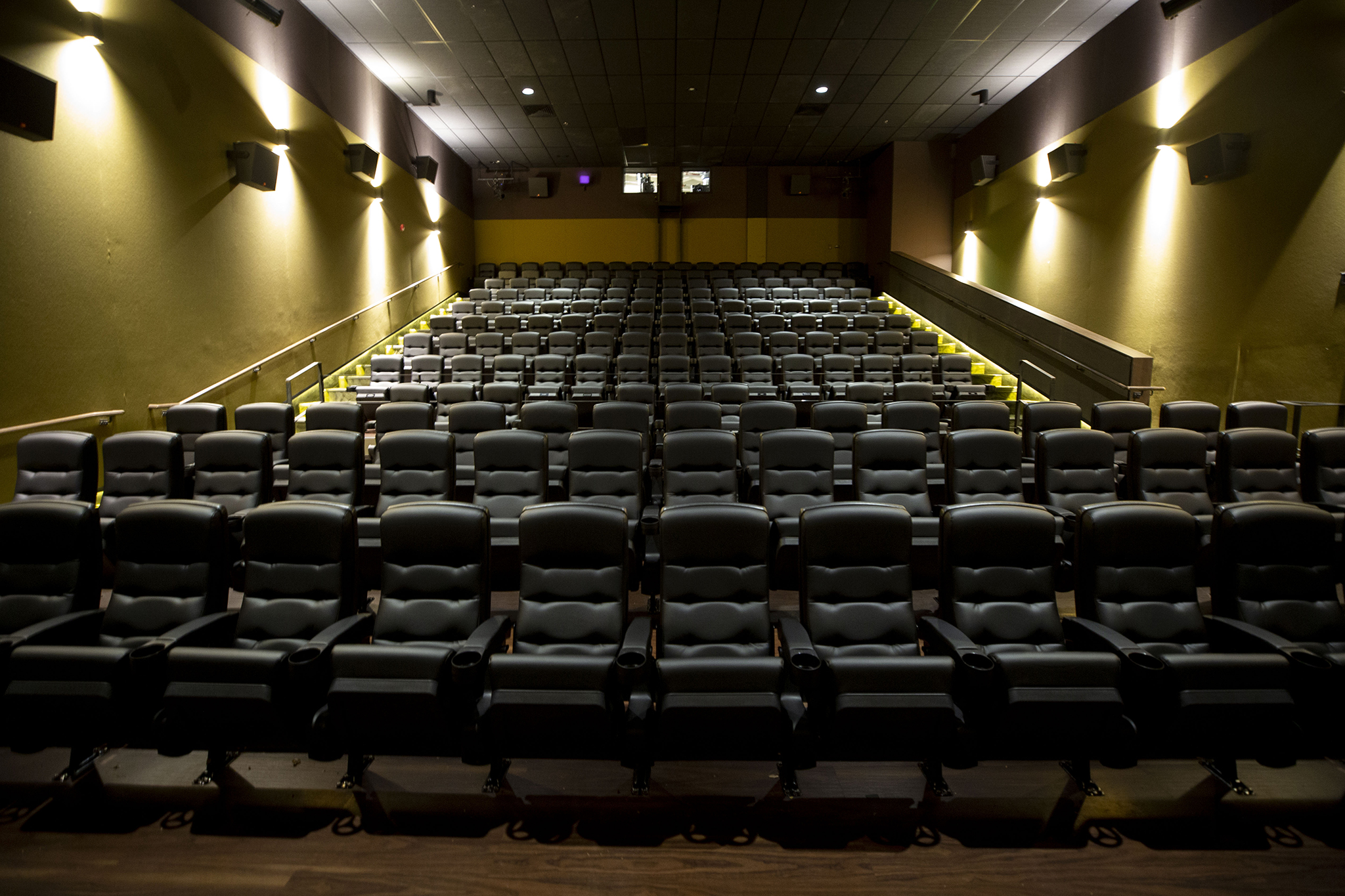 Denver Film expanded its programming to show more classic, repertory ...