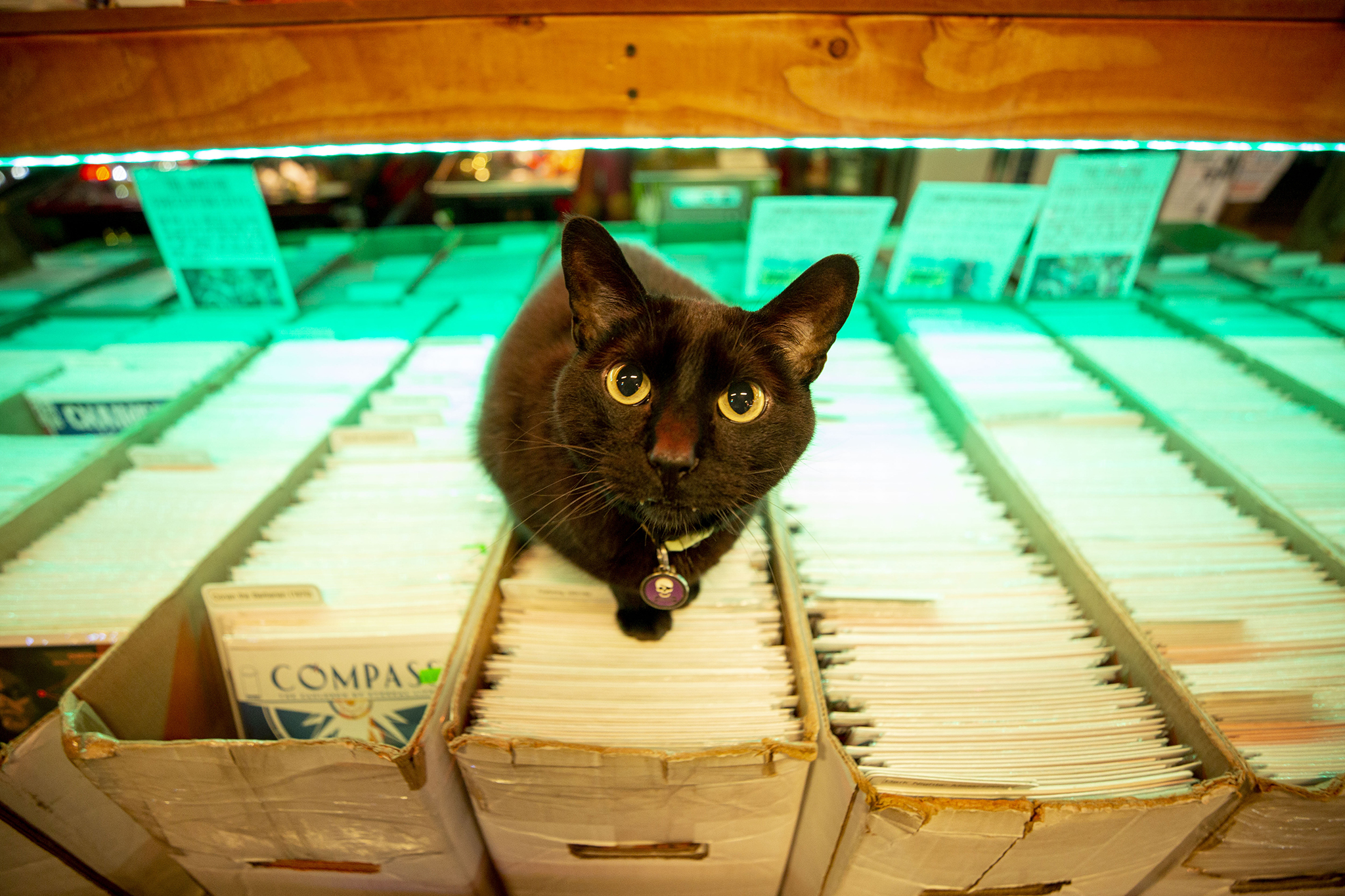 We asked for some cold treats to beat the heat and y'all delivered ...