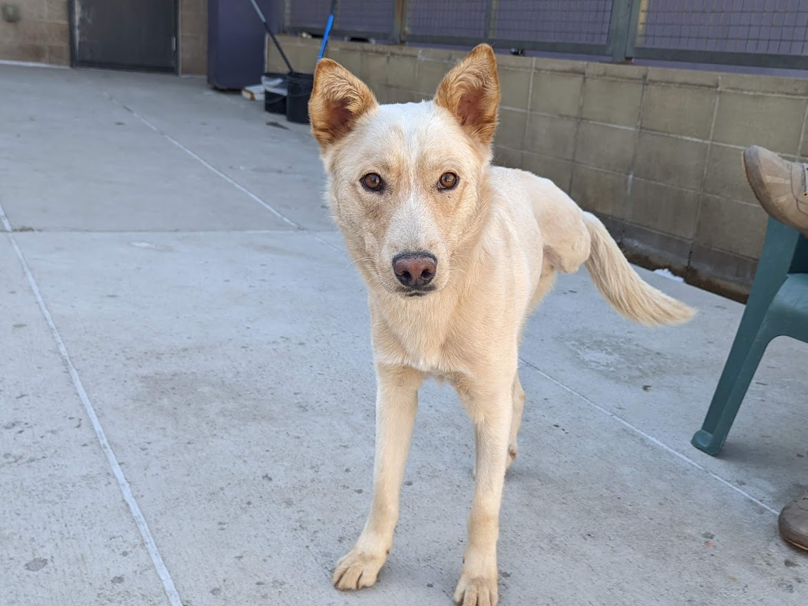 From high in the Rockies to the South Platte, here's where Denver gets ...