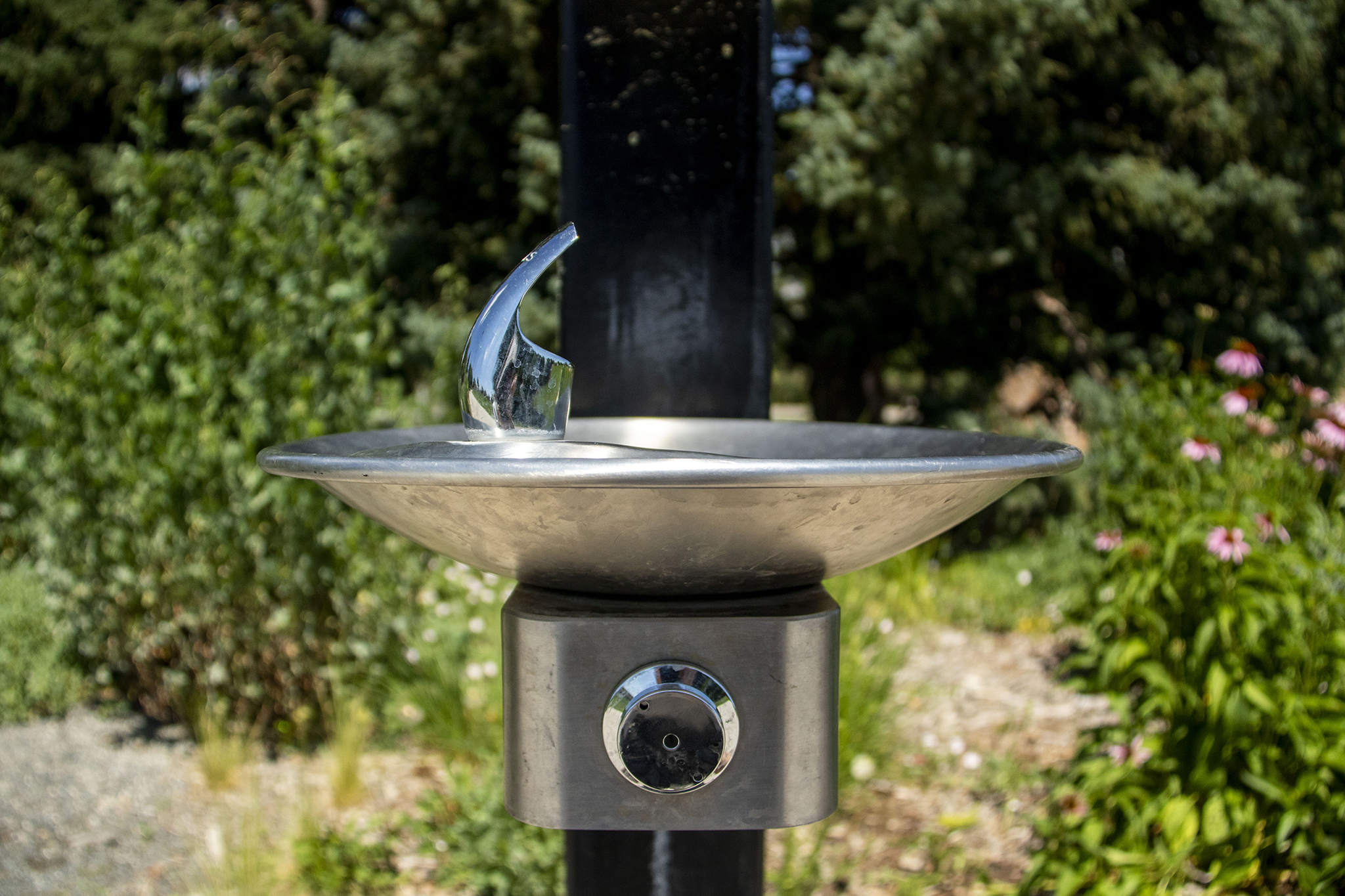 You're thirsty and want a drink. But are any Denver water fountains ...