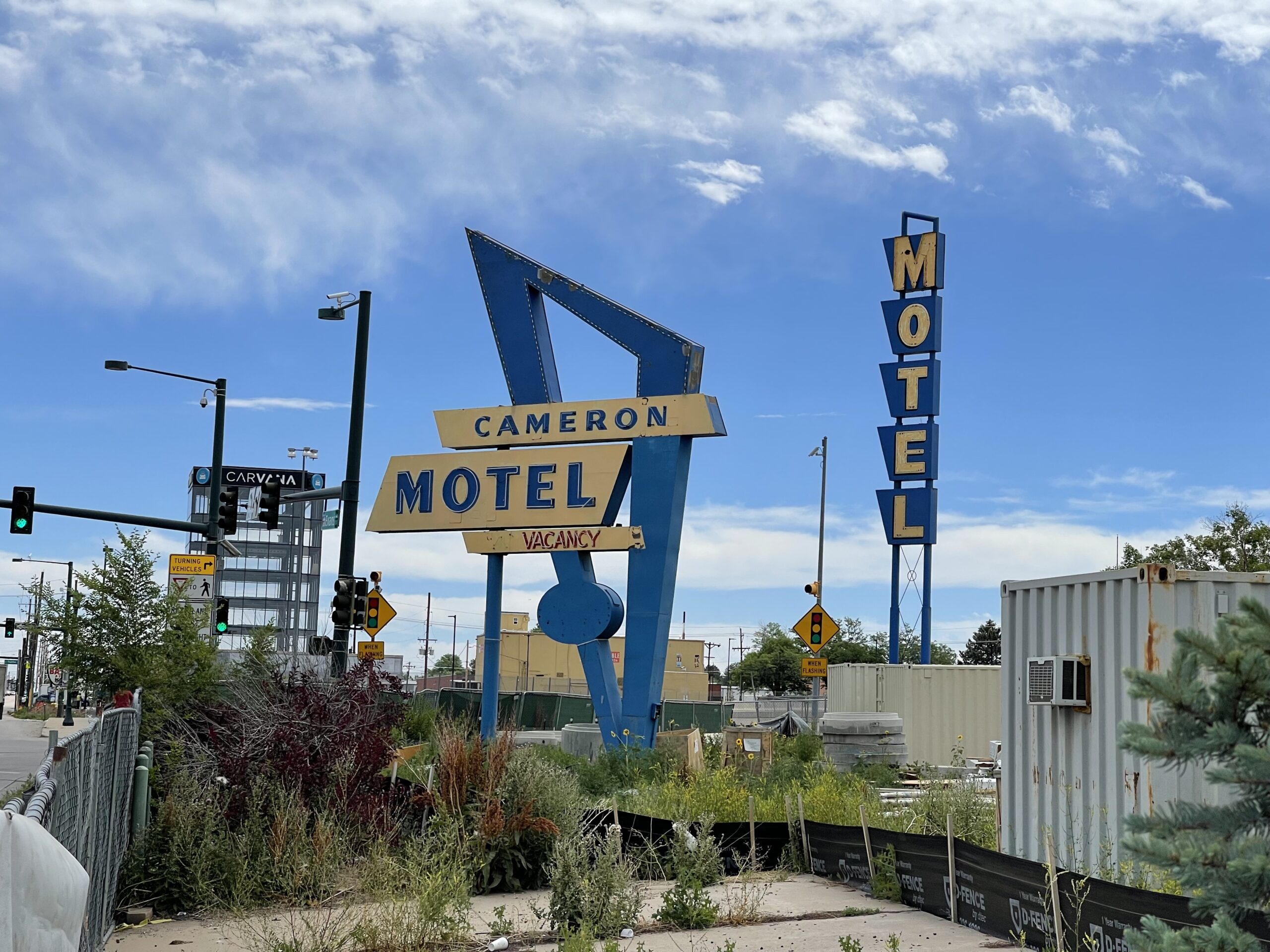 'Seagulls' are Colorado natives -- and it's our fault they hang out in ...