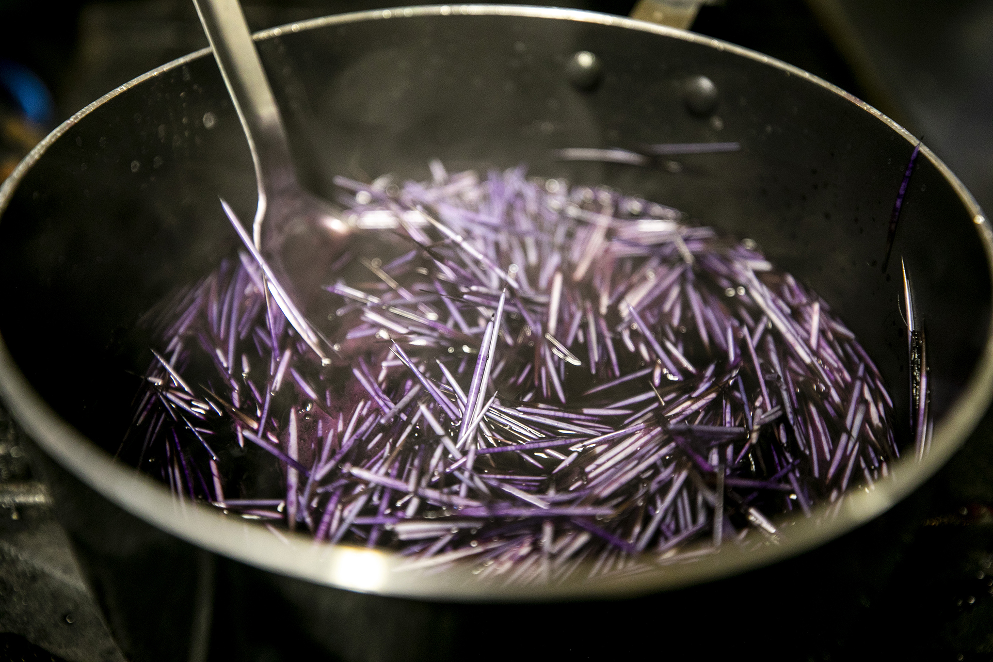 How a Denver Zoo porcupine's quills found their way to a Native ...