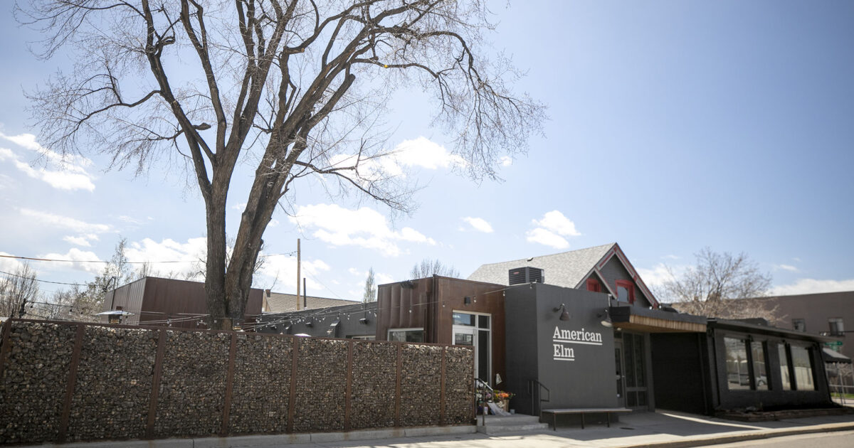 American Elm is reopening its doors following the killings of two ...