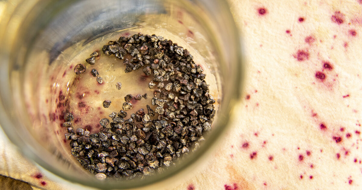 Japanese botanical dye fiber artist's new exhibit at Access Gallery is ...