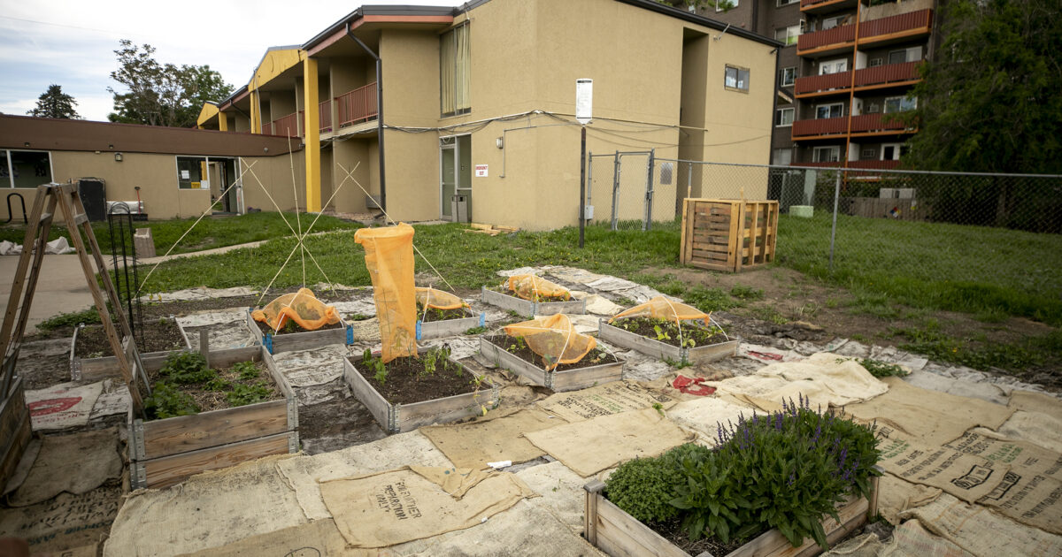 Most women, trans and nonbinary residents sheltered at the Rodeway Inn ...