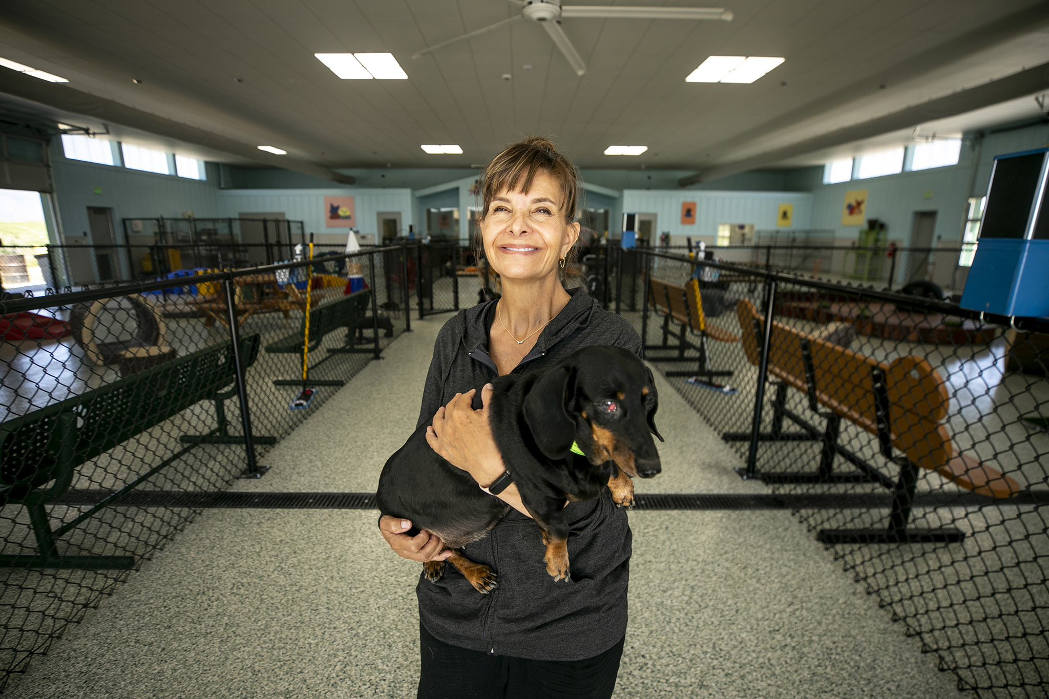 Meet the aging sweethearts of Pepper's Senior Dog Sanctuary - Denverite ...