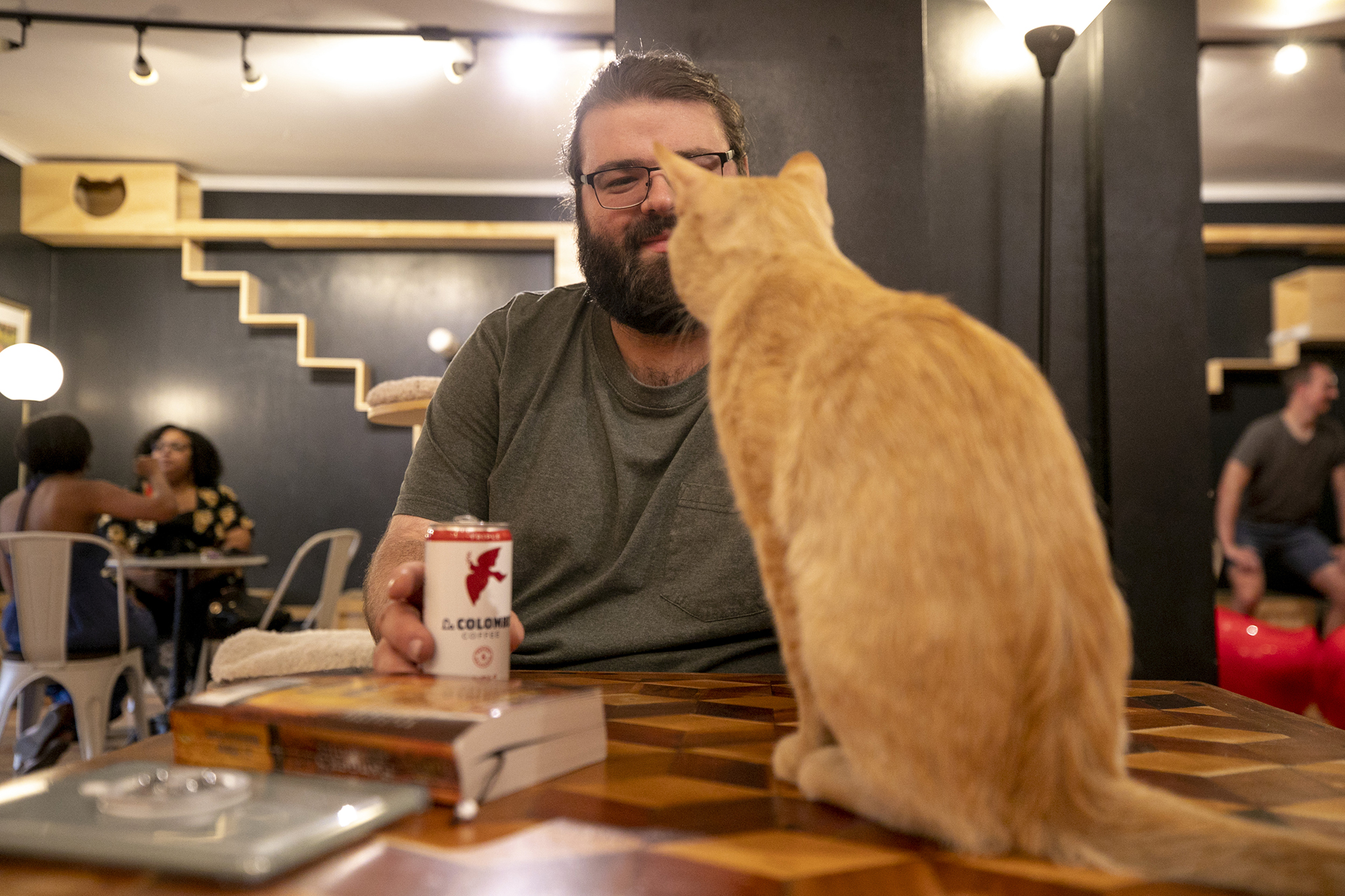 Denver's cat cafes are here fur when you want to have a purrfect time ...