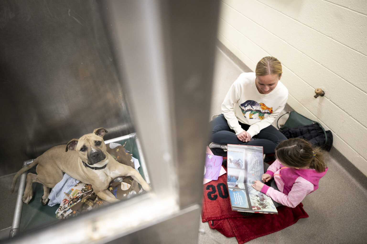 You can keep a Denver shelter animal company by reading to it for a ...