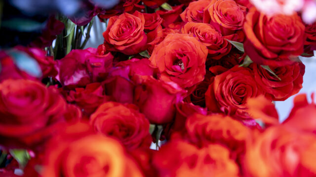 Denverite, the Denver site!