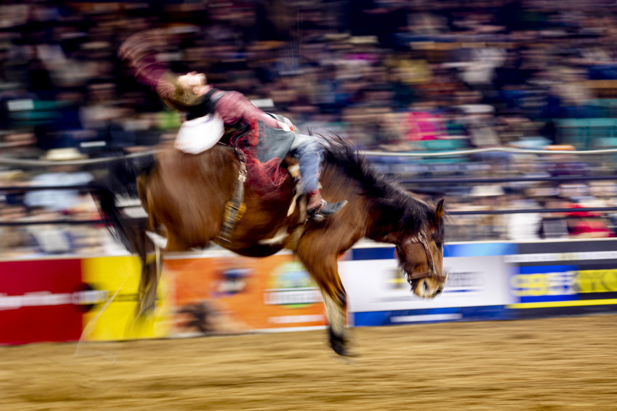 This week, the Denver Coliseum is the center of the rodeo world