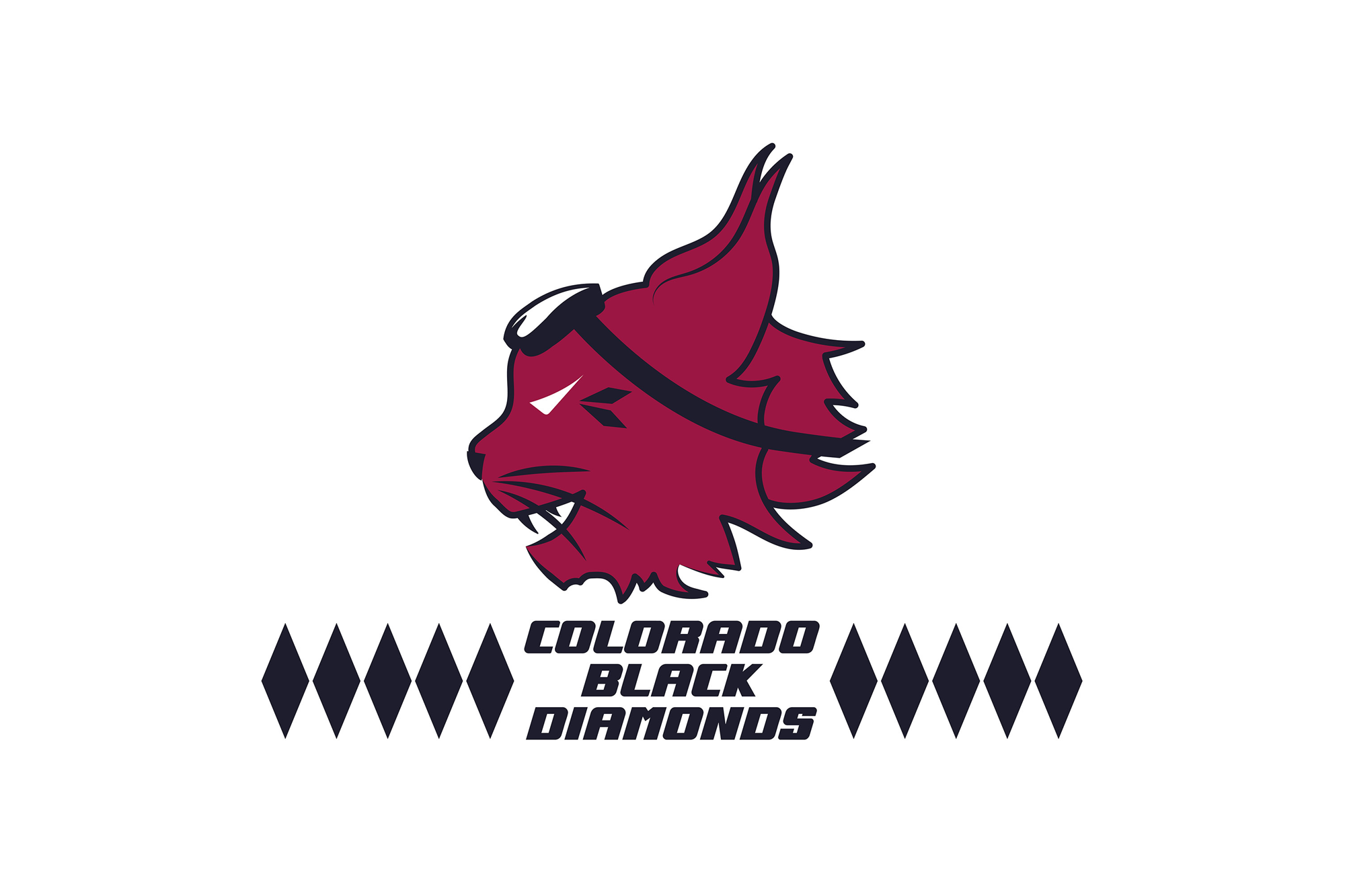 We asked for your NWSL name ideas, and you guys want to root for the ...