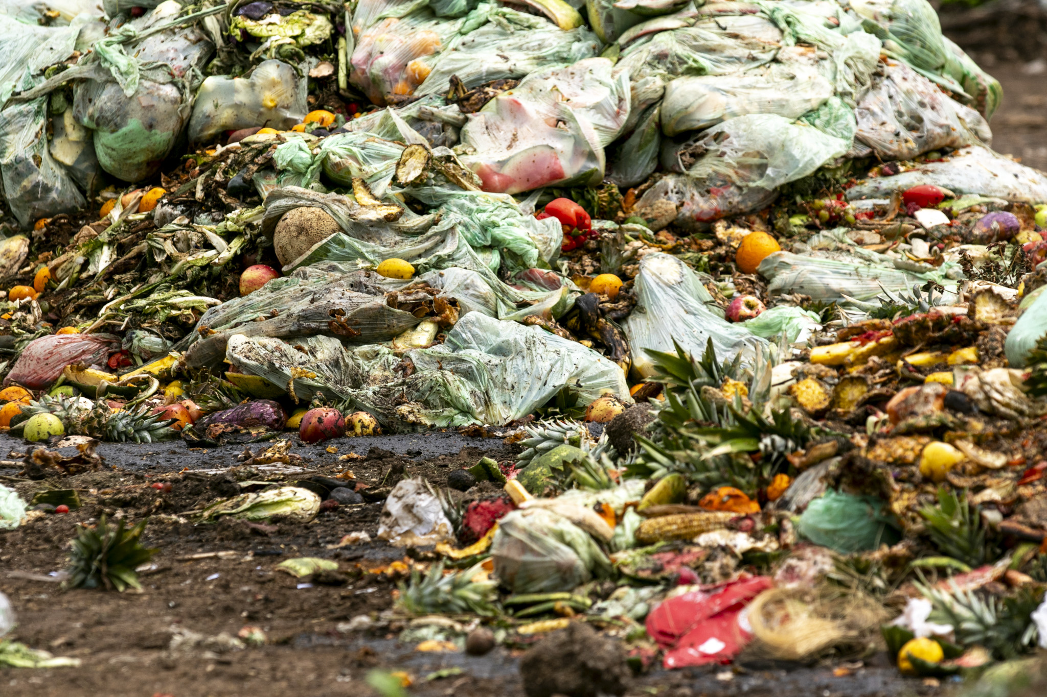 Here’s what to know about Denver’s new composting rules