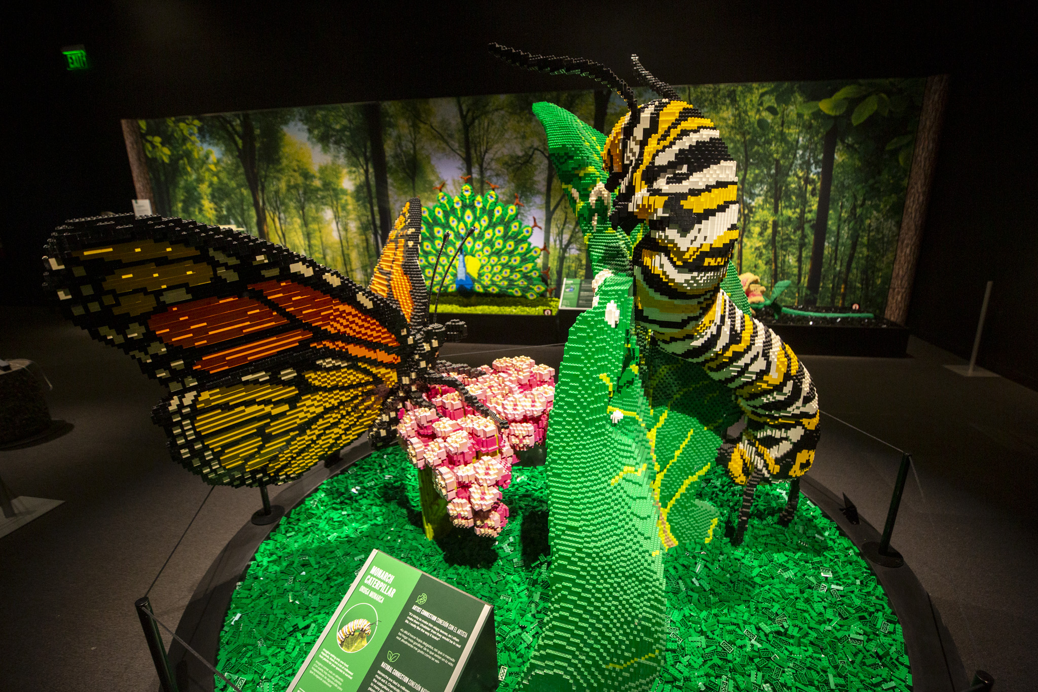 Denver science museum uses 1.5 million Lego bricks to tell the planet's ...