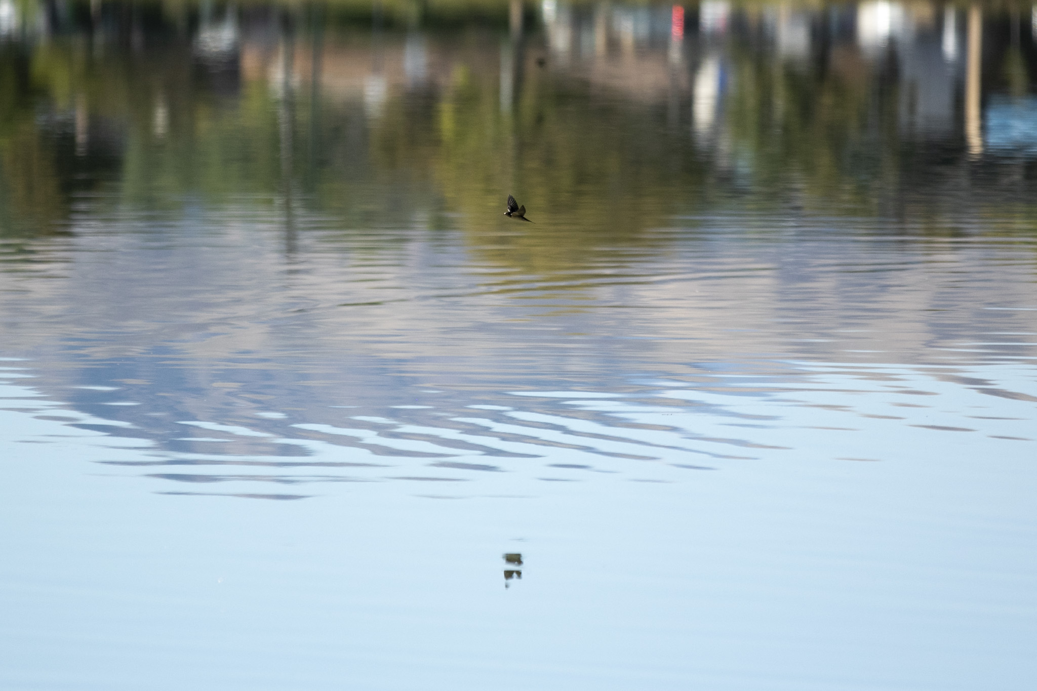 Sloan’s Lake is hot and shallow. Can $5 million save it?