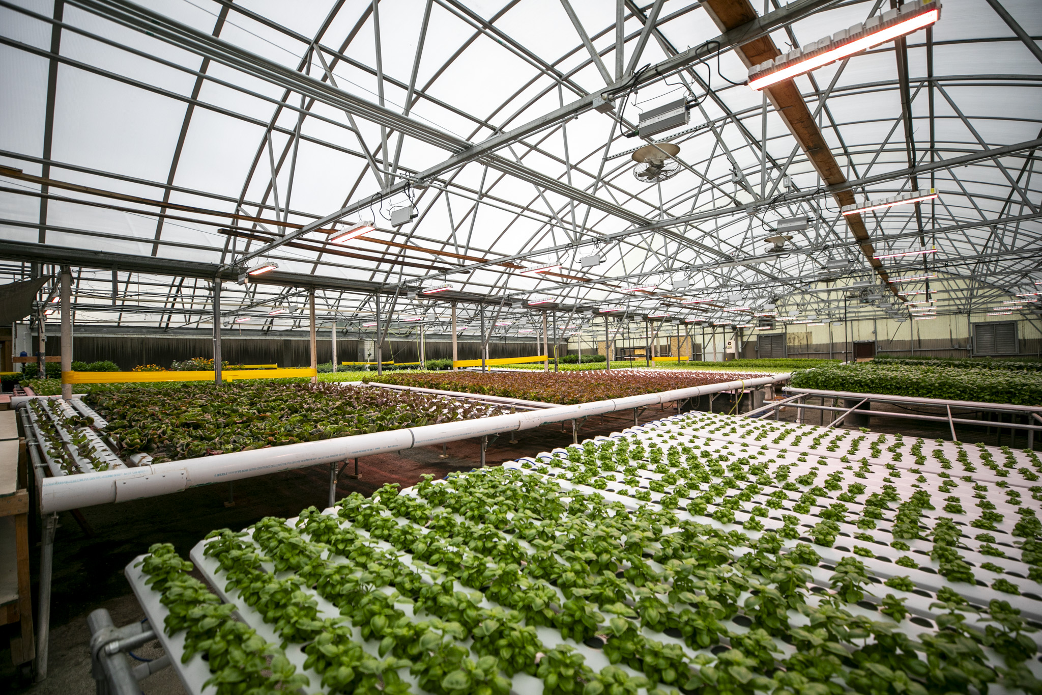 Southwest Denver’s new farmers market arrives this weekend. Meet the ...