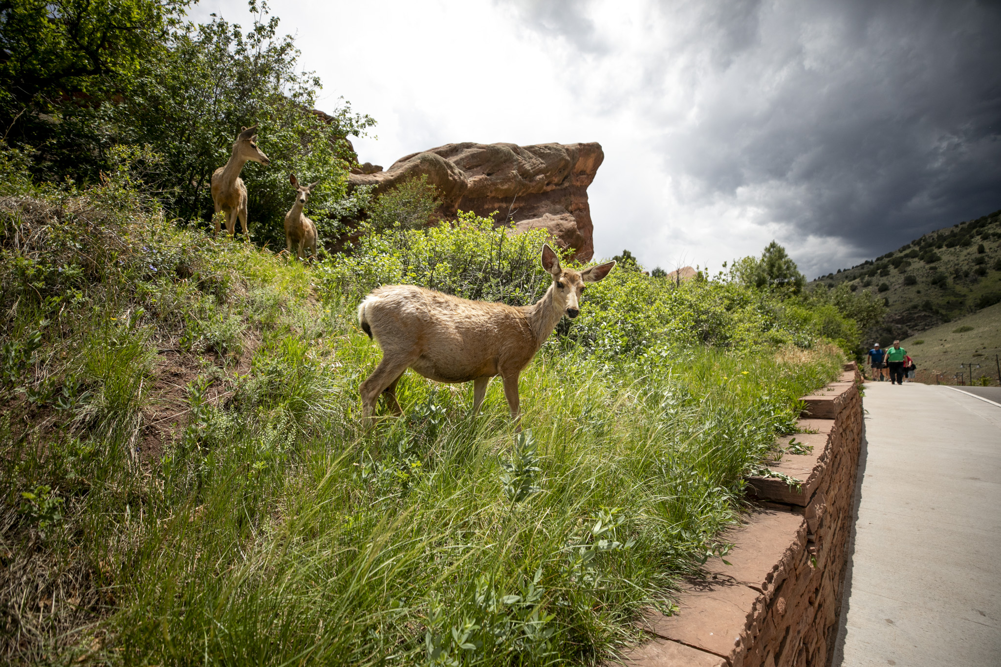 Things to do in Denver this weekend, June 12-14